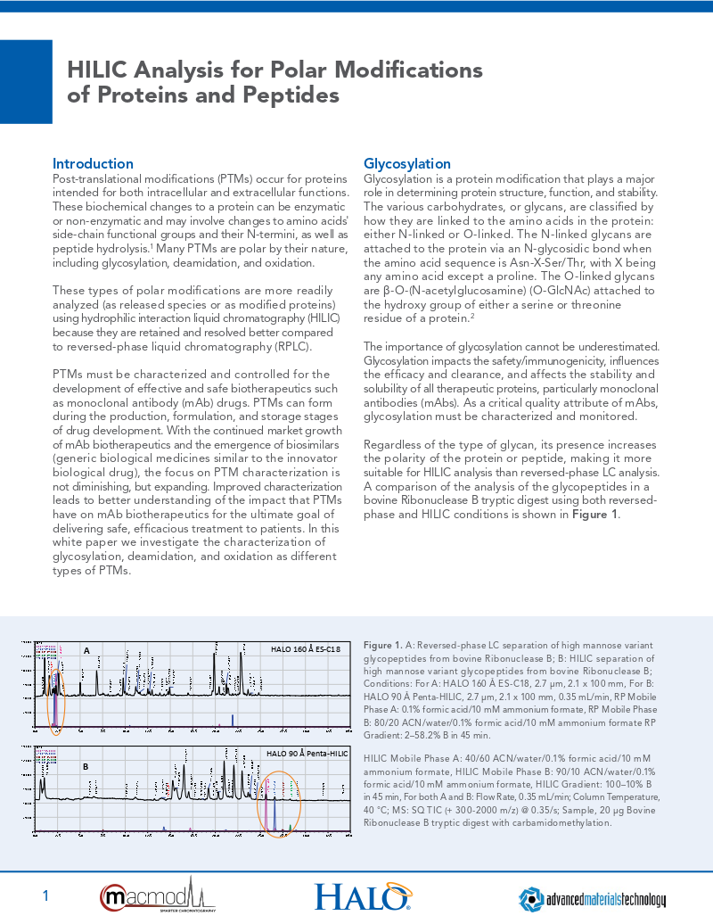 HILIC Analysis for Polar Modifications of Proteins