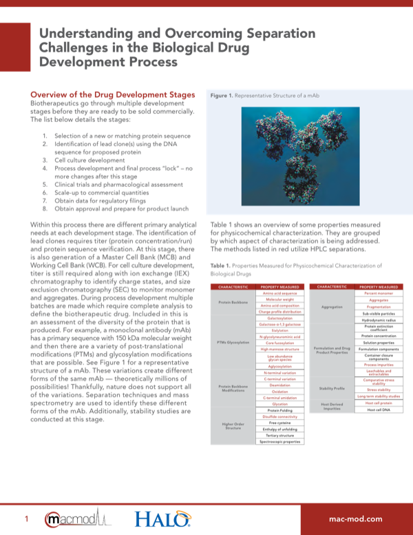 Separation Challenges in Bio Drug Development
